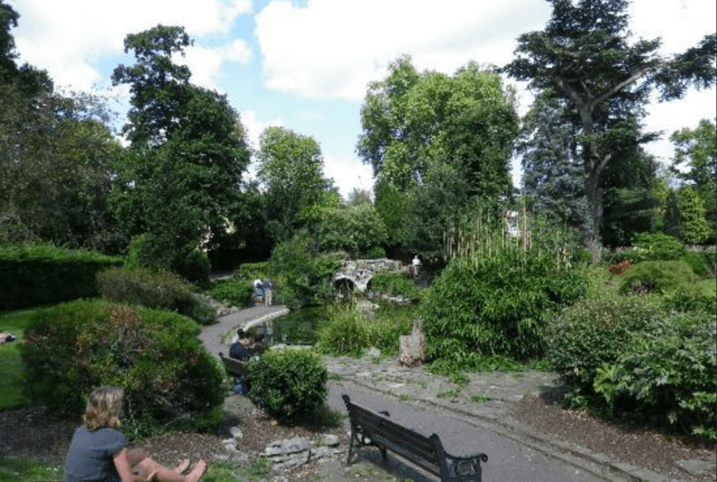 Bird walk and survey with West London Birders -Walpole Park ...