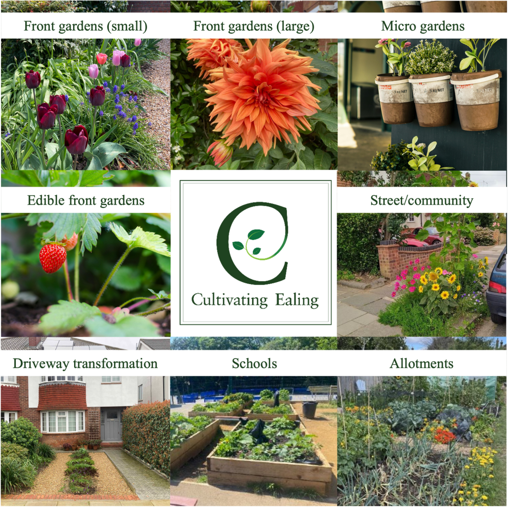 Biodiverse Front Gardens and Balconies Competition opens for entries ...